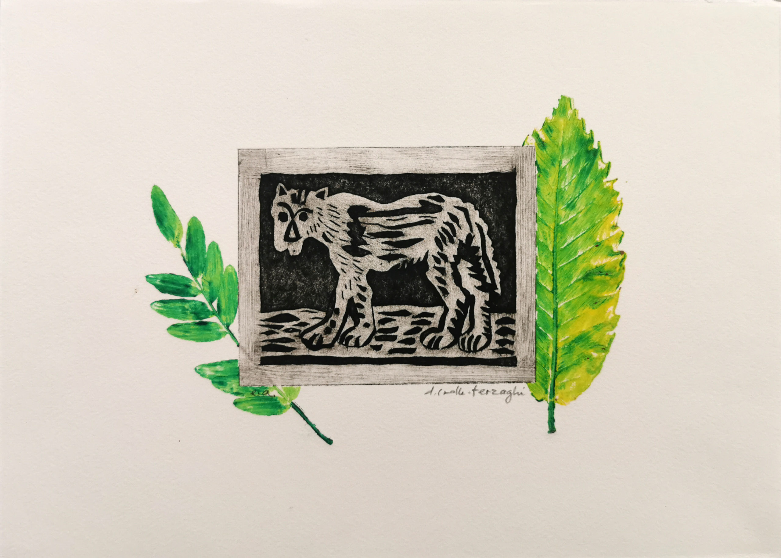 Tetra-loup – Denise Crolle Terzaghi